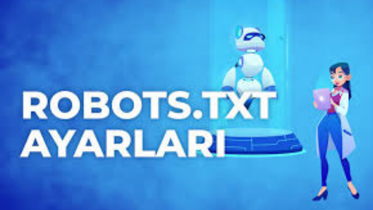 All In One SEO Robots Txt Ayarları - Soft Marketing